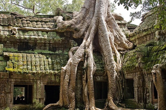 Great 4-Day Tour in Cambodia - Practical Details and Value