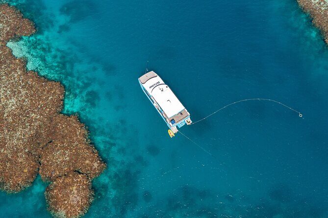 Great Barrier Reef and MOUA Snorkeling Day Tour from Townsville - What Youll Love About This Tour