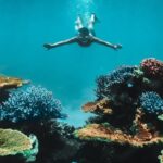 Great Barrier Reef Cruise from Townsville or Magnetic Island - Exploring the Itinerary in Detail