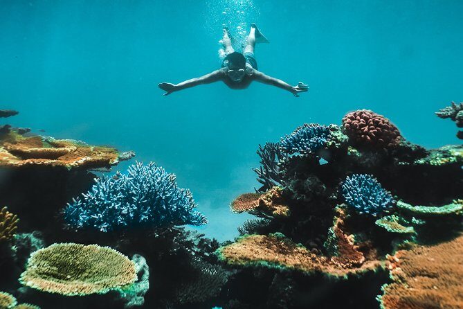Great Barrier Reef Cruise from Townsville or Magnetic Island - Exploring the Itinerary in Detail