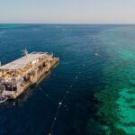 Great Barrier Reef Full Day Adventure - Authentic Experiences from Travelers