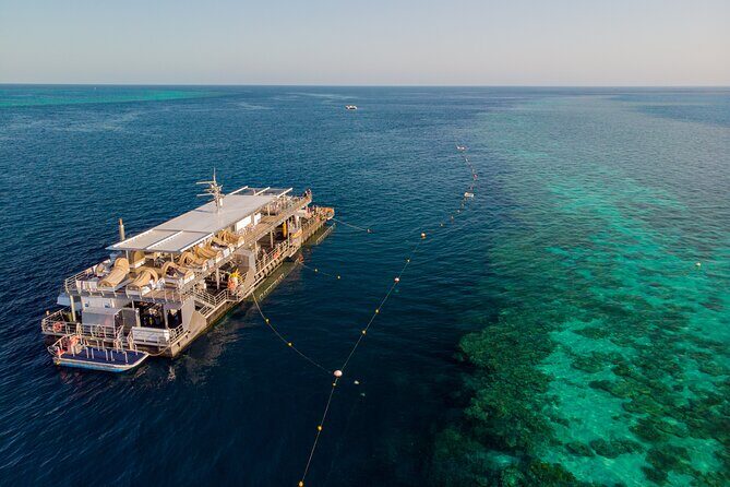 Great Barrier Reef Full Day Adventure - Authentic Experiences from Travelers