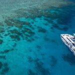 Great Barrier Reef Full Day Tour from Cairns - What the Reviews Tell Us