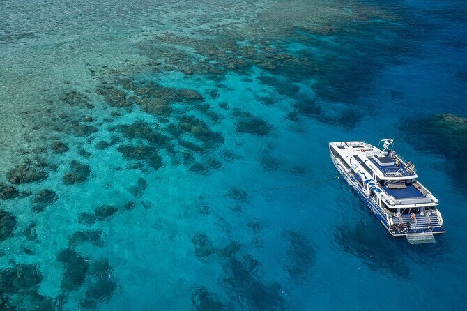 Great Barrier Reef Full Day Tour from Cairns - What the Reviews Tell Us