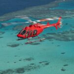 Great Barrier Reef or Rainforest Scenic Flights from Port Douglas - Why You’ll Love This Scenic Flight