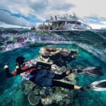 Great Barrier Reef with Cultural Guides-Dreamtime Dive & Snorkel - The Value for Your Money