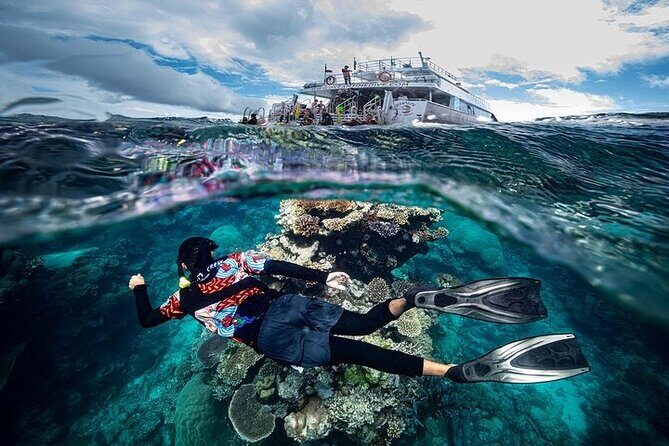 Great Barrier Reef with Cultural Guides-Dreamtime Dive & Snorkel - The Value for Your Money