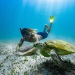Great Keppel Island Glass Bottom Boat Tour & Ferry Transfer - The Value and Overall Experience