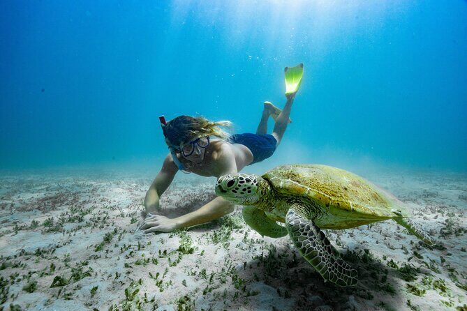 Great Keppel Island Glass Bottom Boat Tour & Ferry Transfer - The Value and Overall Experience