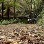 Great Lake Trail Lake Taupo 2-Day Mountain Biking Tour - The Value of This Tour