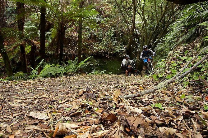 Great Lake Trail Lake Taupo 2-Day Mountain Biking Tour - The Value of This Tour