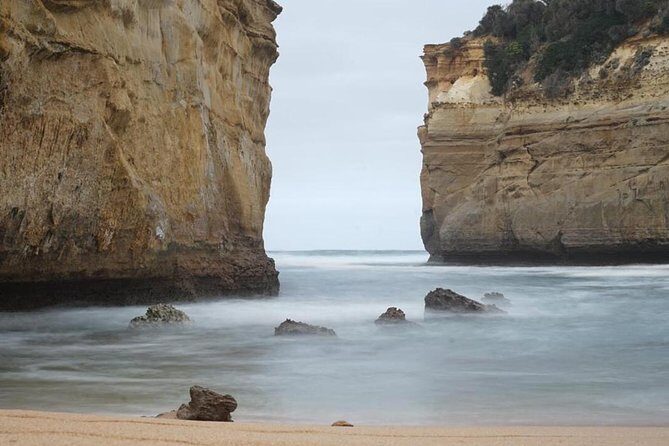 Great Ocean Road 12 Apostles kangaroo & koala tour - Who Is This Tour Best For?