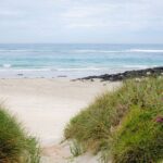 Great Ocean Road and 12 Apostles Tour - Detailed Tour Breakdown