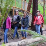 Great Ocean Road: Guided Wildlife Walk that Supports Nature - The Value of the Experience