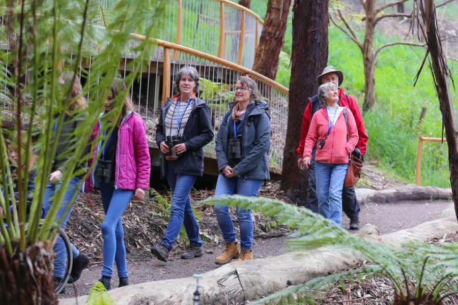 Great Ocean Road: Guided Wildlife Walk that Supports Nature - The Value of the Experience