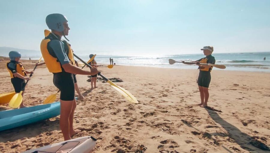 Great Ocean Road: Kayaking with Seals Tour - Who This Tour Is Best For