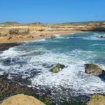 Great Ocean Road Private Day Tour - The Itinerary Breakdown: What to Expect