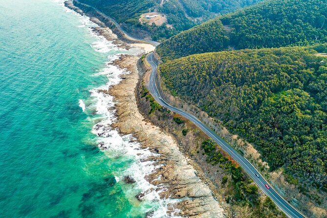Great Ocean Road Private Tour In Luxury Vehicle.Customised Option - Why This Tour Works Well for Travelers