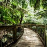 Great Ocean Road Reverse Itinerary with 12 Apostles from Melbourne - What Makes This Tour Stand Out