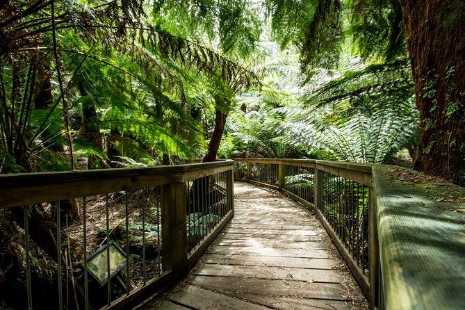 Great Ocean Road Reverse Itinerary with 12 Apostles from Melbourne - What Makes This Tour Stand Out