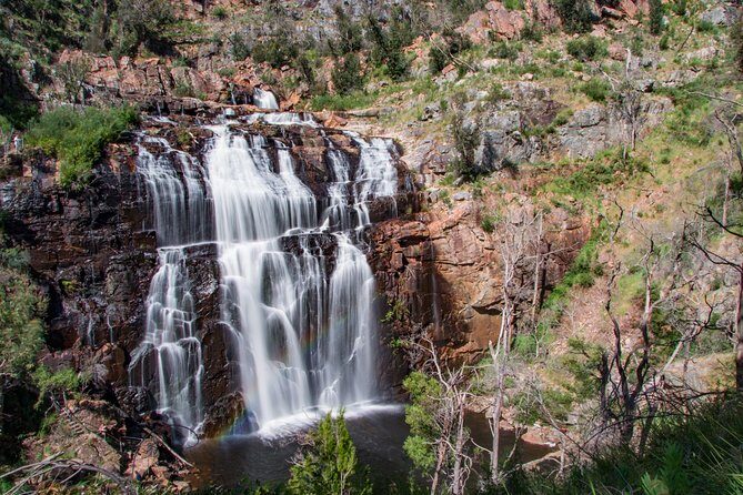 Great Ocean Road to Grampians 2 Day 1 Night Tour from Melbourne to Adelaide - What Travelers Say