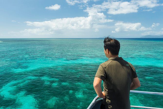 Green Island Day Trip from Cairns - The Itinerary: What to Expect on Green Island