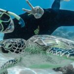 Green Island Full Day Trip from Cairns with City Transfers - A Closer Look at the Tour Experience