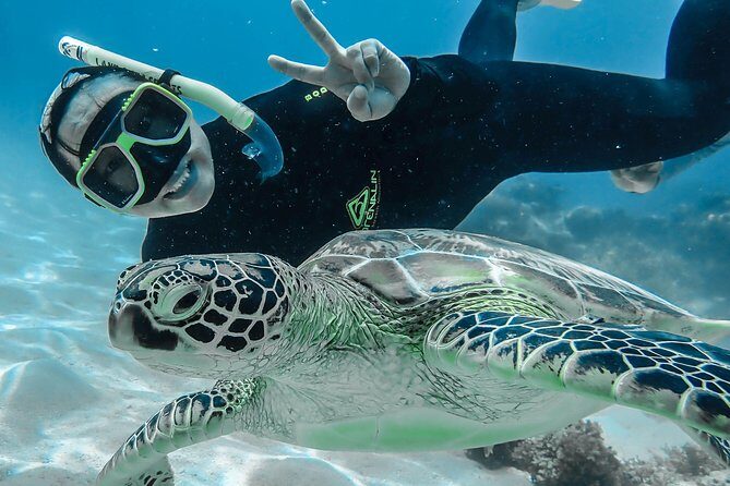Green Island Full Day Trip from Cairns with City Transfers - A Closer Look at the Tour Experience