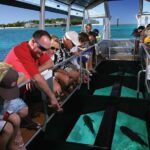 Green Island Half-Day Trip from Cairns - What Makes This Tour Stand Out?