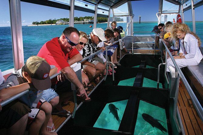 Green Island Half-Day Trip from Cairns - What Makes This Tour Stand Out?