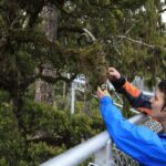 Greymouth: Hokitika Gorge and Tree Top Walkway Half-Day Tour - Is It Worth the Price?