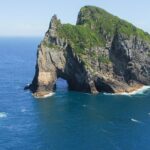 Group tour to Bay of Islands return from Auckland - What Makes This Tour Stand Out?