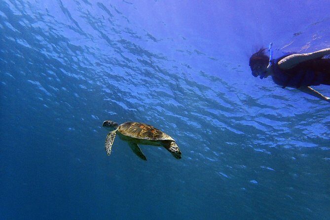 Guam's 5 Star Guided Snorkeling Tour! - The Value of the Experience