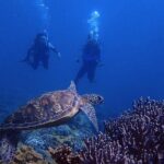 Guam's Best Beach Diving! Beginner and Advanced Dives - What to Expect on the Tour