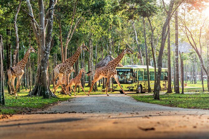 Guaranteed Departures: Vinpearl Safari & Countryside Pepper Farm - FAQ