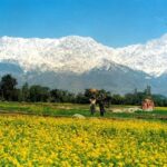 Guided Day Hike to Guna Devi Temple from Mcleodganj - The Experience and Value