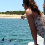 Guided Dolphin Eco-Cruise in Koombana Bay - An In-Depth Look at the Dolphin Eco-Cruise in Bunbury