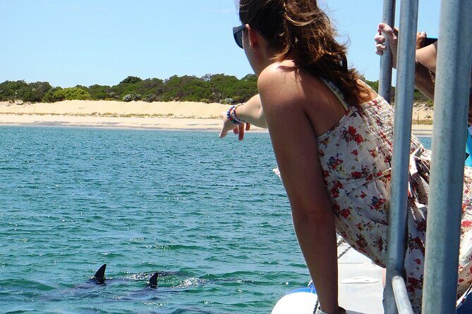 Guided Dolphin Eco-Cruise in Koombana Bay - An In-Depth Look at the Dolphin Eco-Cruise in Bunbury