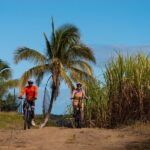 Guided E-bike Tour - Authentic Experiences from Reviews