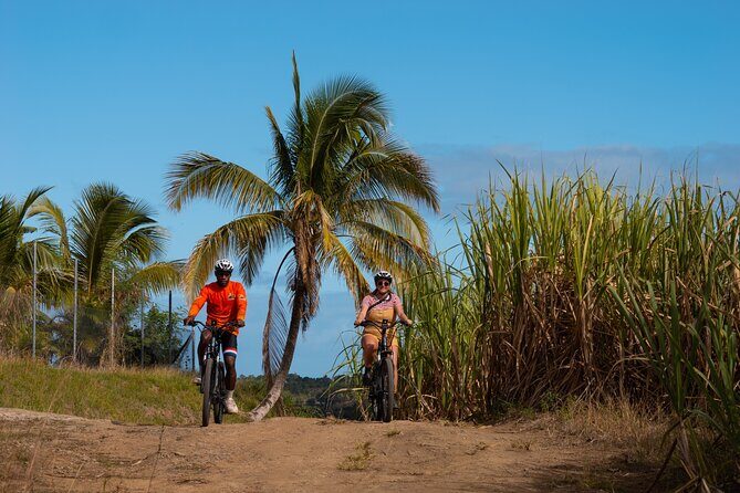Guided E-bike Tour - Authentic Experiences from Reviews