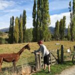 Guided eBike Wine Tour Ride to the Vines - Authentic Experiences Highlighted by Travelers