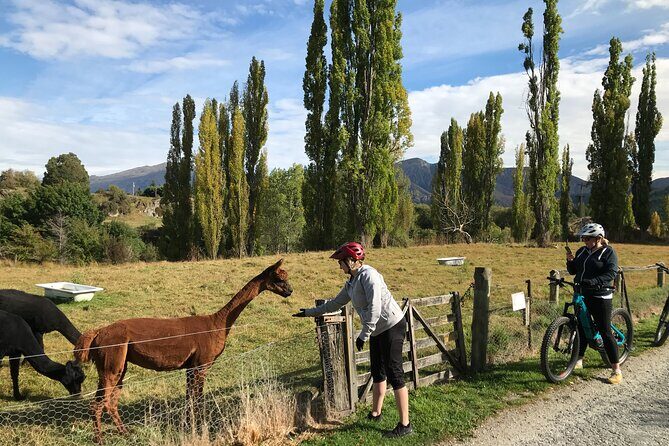 Guided eBike Wine Tour Ride to the Vines - Authentic Experiences Highlighted by Travelers