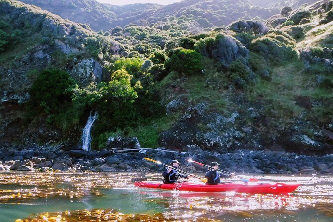 Guided Electric Mountain Bike & Sea Kayak Tour in Akaroa - What to Expect: The Details
