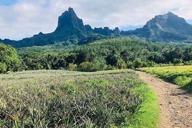 Guided Excursion in 4x4 in Moorea between Land and Sea - The Experience from a Traveler’s Perspective