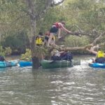 Guided Kayak Adventure Tour - Who Should Consider This Tour?