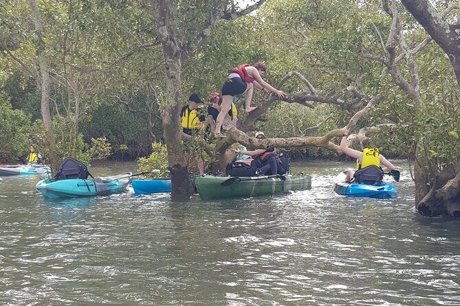 Guided Kayak Adventure Tour - Who Should Consider This Tour?