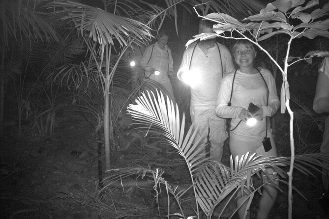 Guided Night Walk in Cape Tribulation - The Unique Trail Experience