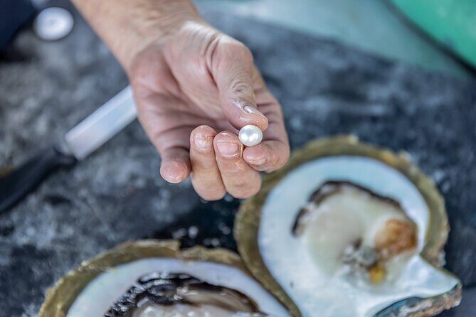 Guided Paspaley Pearl Farm Tour with Return Transfers - The Practical Side: What You Need to Know