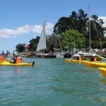 Guided Riverhead Tavern Kayak Tour in Auckland - Who Should Consider This Tour?