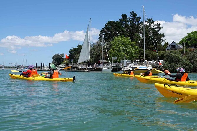 Guided Riverhead Tavern Kayak Tour in Auckland - Who Should Consider This Tour?